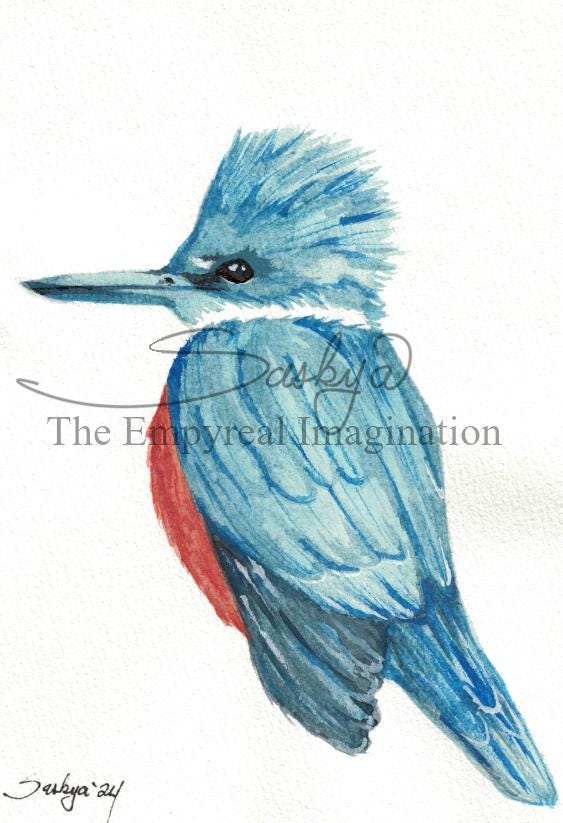 King of Fishing Kingfisher Bird Watercolor Painting, Original Art, Gift ...