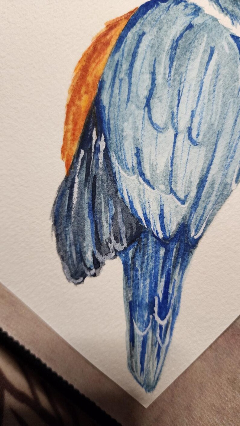 King of Fishing Kingfisher Bird Watercolor Painting, Original Art, Gift ...