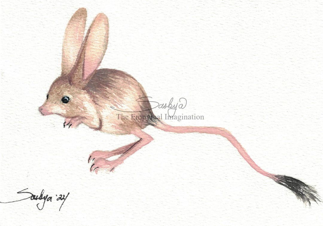 Jumping Jerboa Watercolor Painting, Original Art, Gift, Present - Etsy