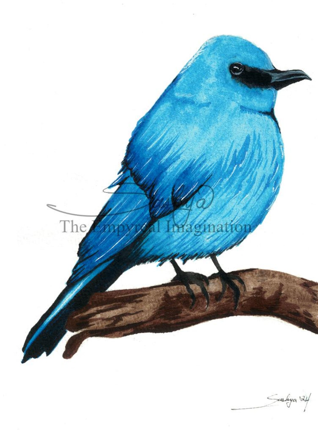 Verditer Flycatcher Blue Bird Watercolor Original Art, Gift, Present - Etsy
