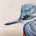 King of Fishing Kingfisher Bird Watercolor Painting, Original Art, Gift ...