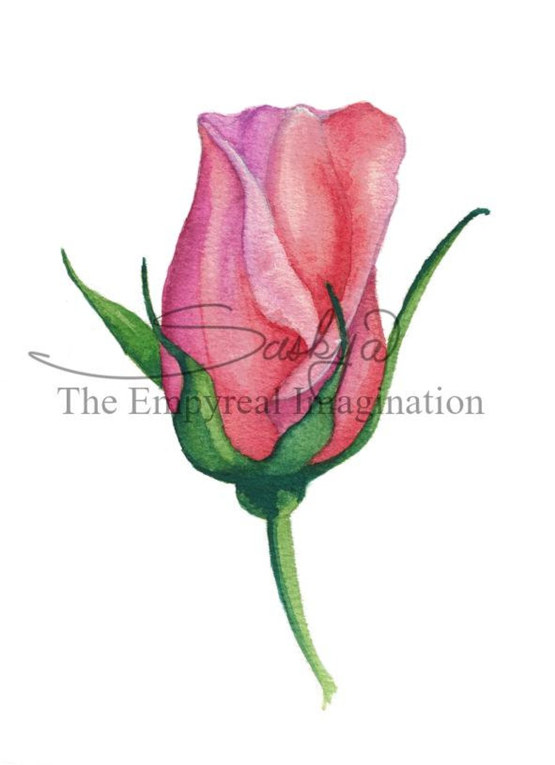 Pink Rosebud Rose Flower, Watercolor Painting Original Art, Gift ...