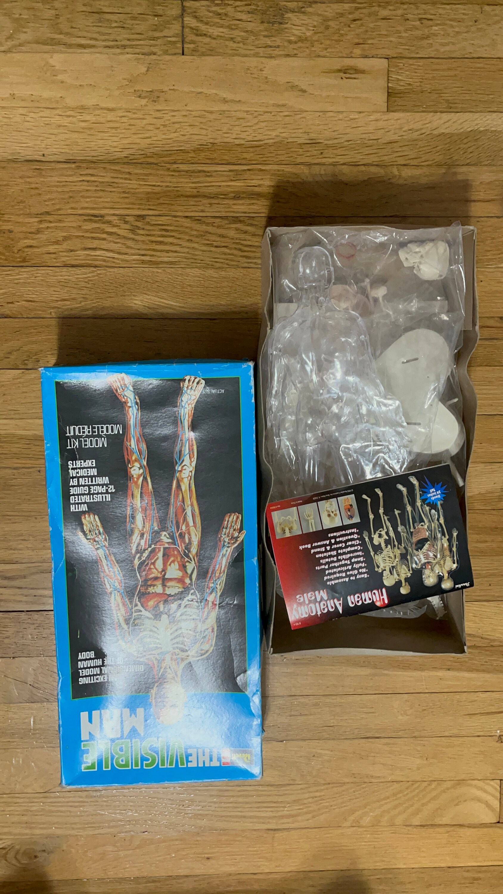 Vintage Visible Man Model Kit 1950s - Etsy