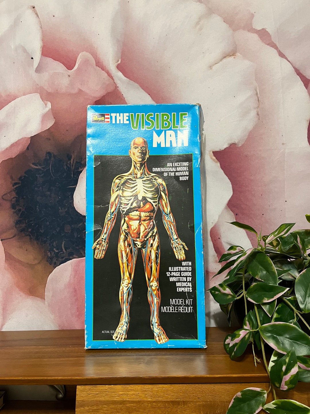 Vintage Visible Man Model Kit 1950s - Etsy