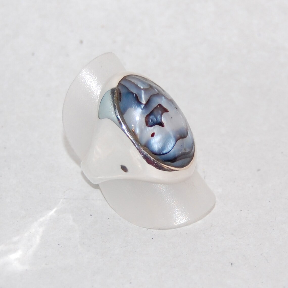 Sea Shell Ring Organic Jewelry Real Hammershell Ring Silver - Etsy