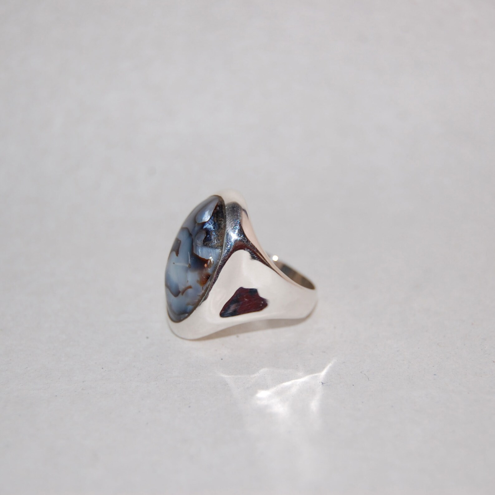 Sea Shell Ring Organic Jewelry Real Hammershell Ring Silver - Etsy