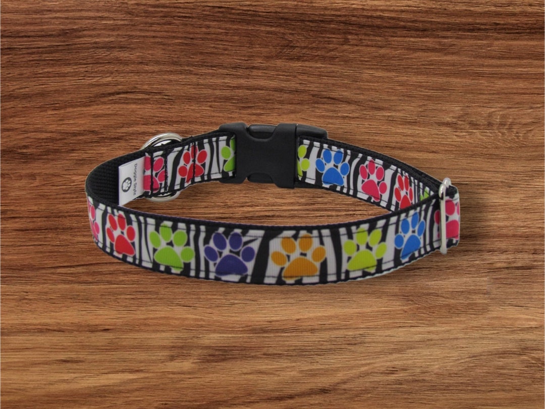 Zebra Print Dog Collar: Colorful Paw Prints, Adjustable Novelty Collar ...