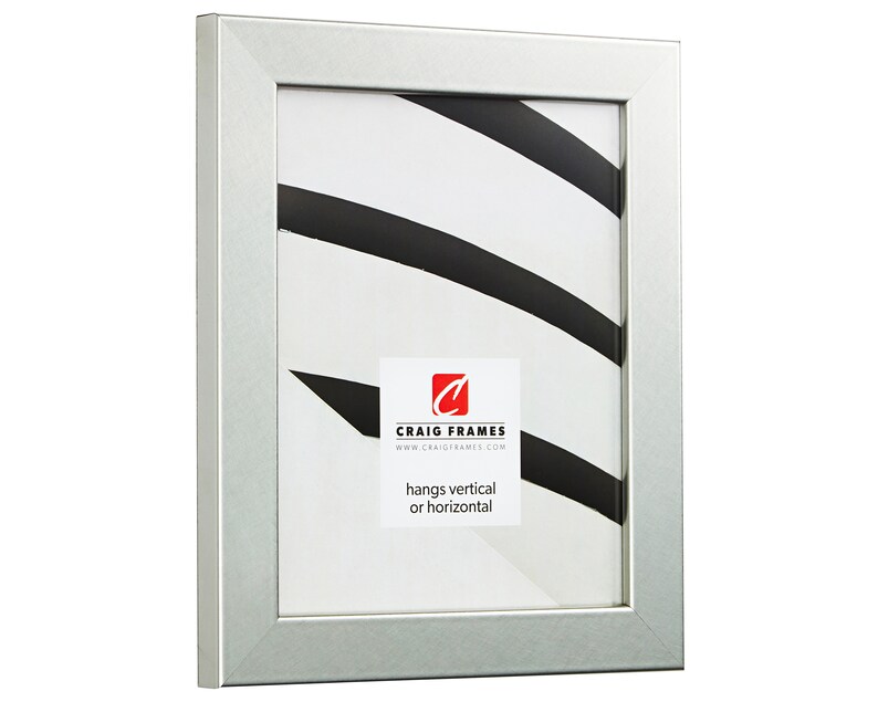 Brushed Silver Picture Frame, Modern Bauhaus Style With White Mat - Etsy