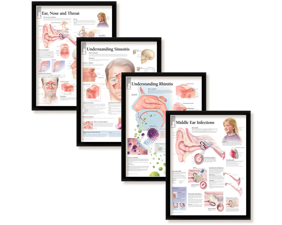 Set of 4 Framed Medical Posters Ear, Nose and Throat, Understanding ...