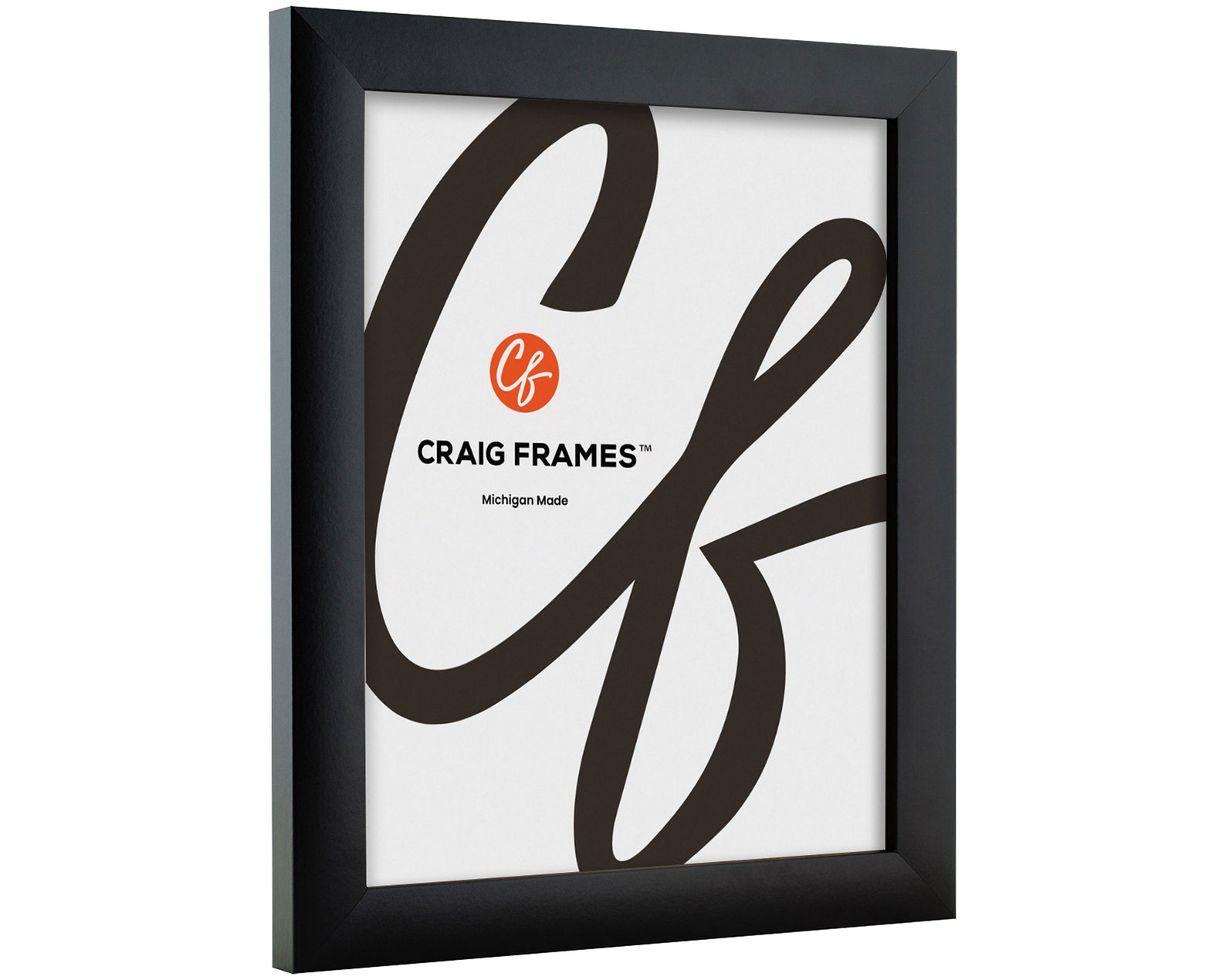 Contemporary, Modern Black Picture Frame, 24x36 Inch, 1 Wide 1WB3BK2436 ...
