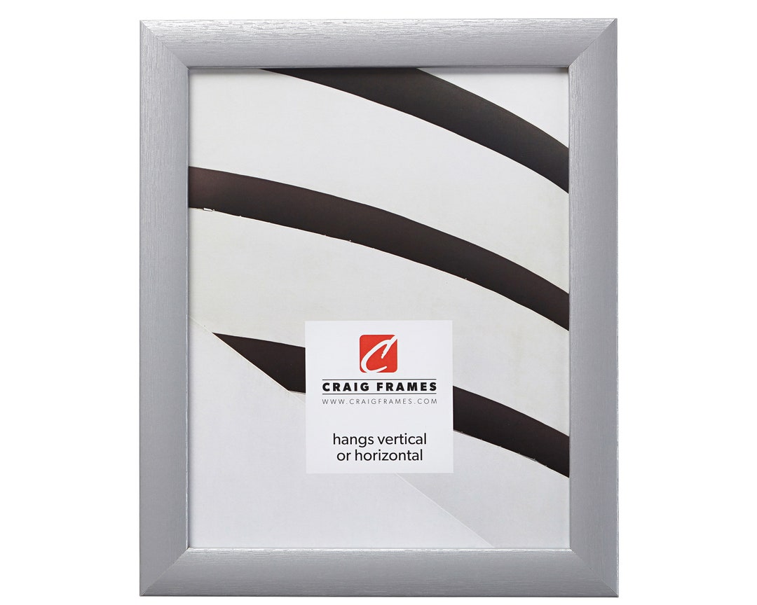 Contemporary 1", Brushed Silver Picture Frame, 1" Wide, 65 Sizes ...