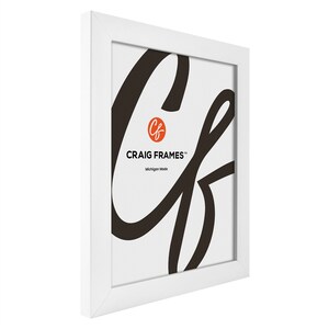 Contemporary, Modern White Picture Frame, 1" Wide, 60 Uncommon Sizes (23247812), Craig Frames ...