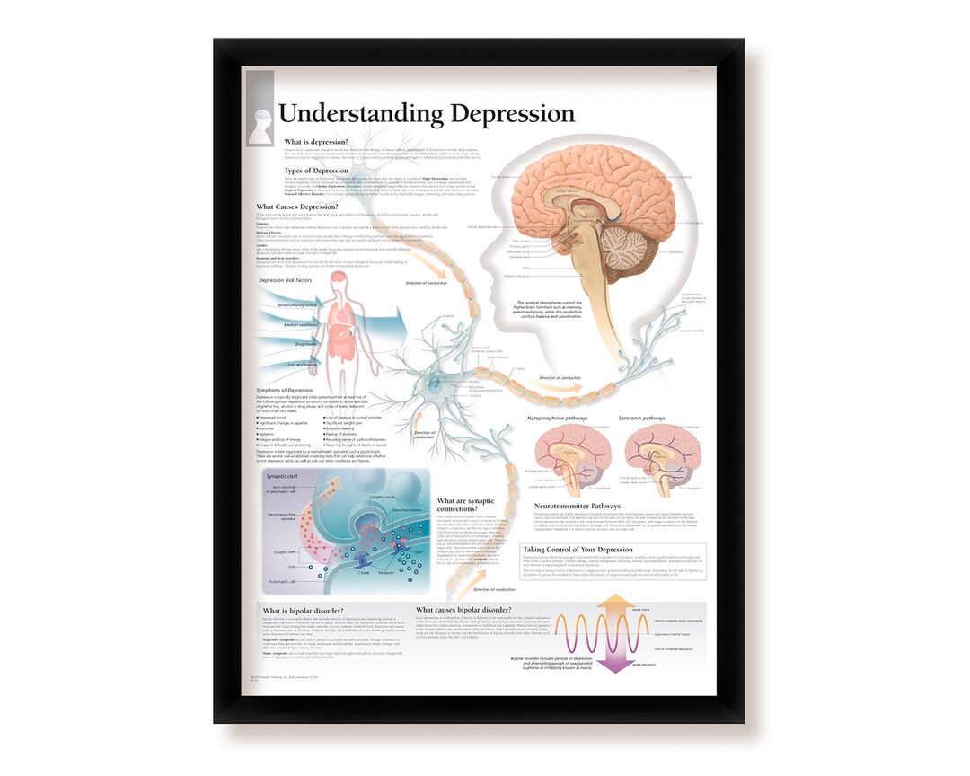 Understanding Depression Framed Medical Educational Informational ...