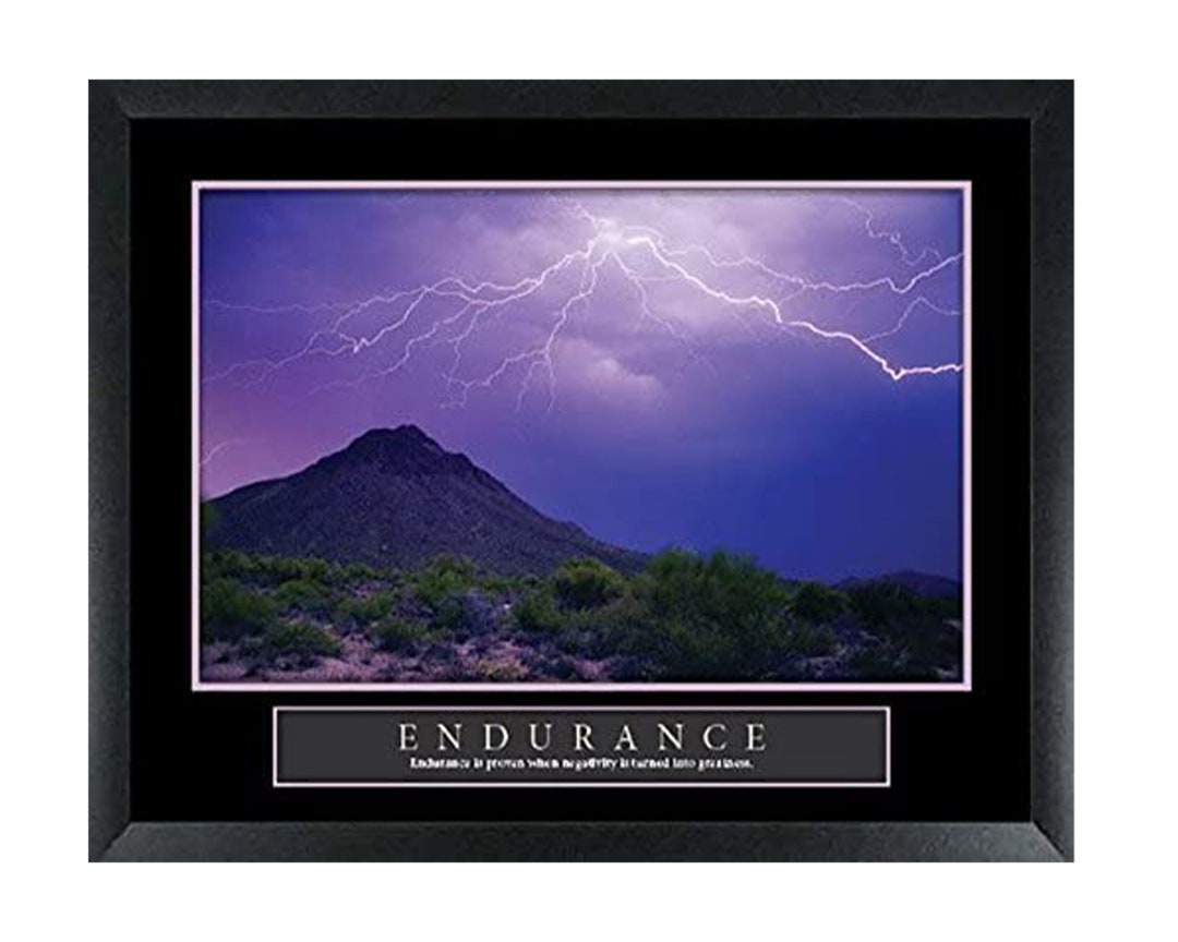 Endurance, Lightning, Framed Motivational Poster - Etsy
