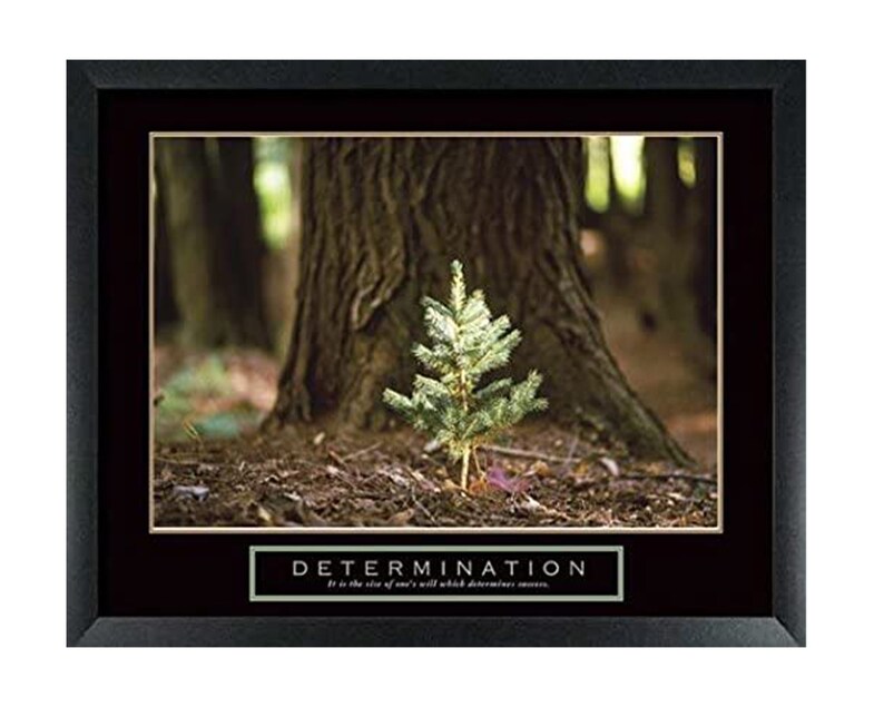 Determination, Little Pine Tree, Framed Motivational Poster - Etsy
