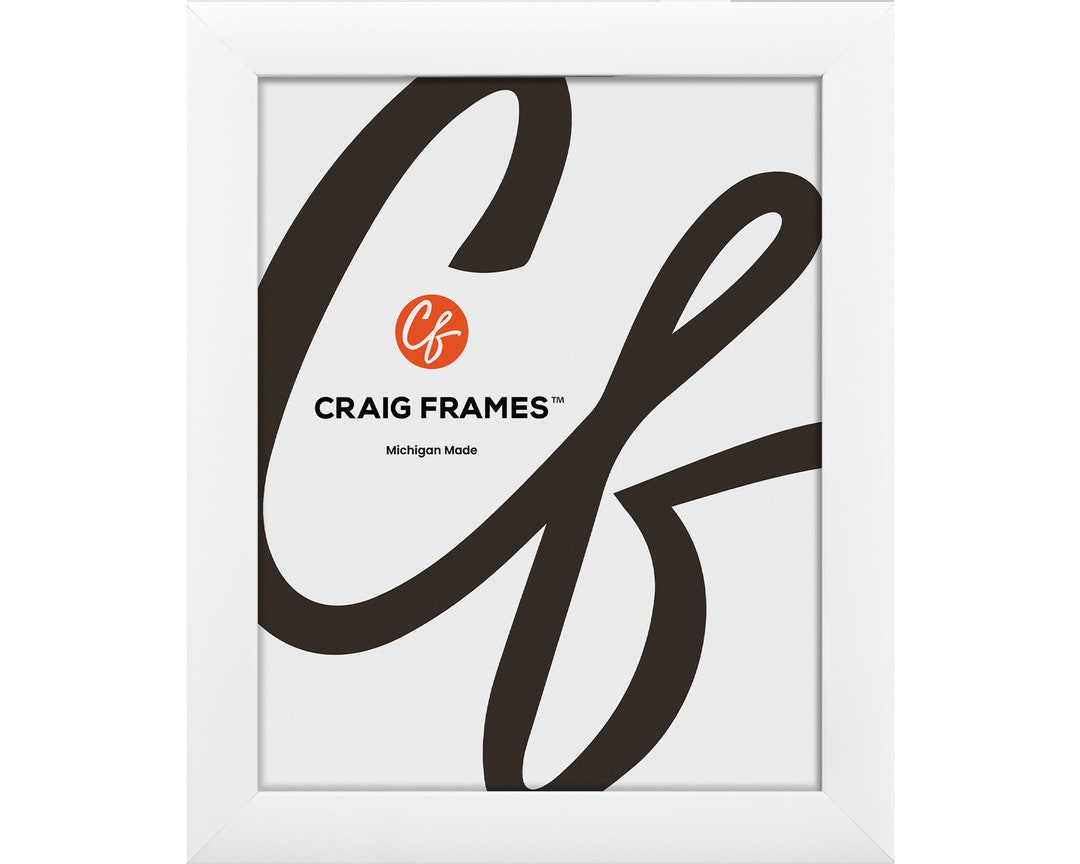 Contemporary, Modern White Picture Frame, 1" Wide, 37 Oversized Options (23247812), Craig Frames ...
