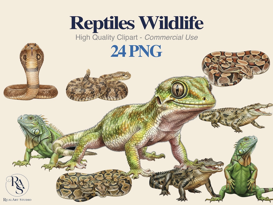 Reptiles Wildlife PNG Bundle, Snake Png, Lizard Png, Crocodile Png ...