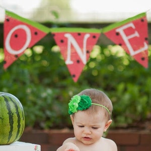 Watermelon Theme Party One in a Melon - Etsy