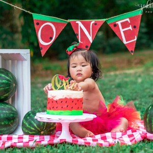 Watermelon Theme Party One in a Melon - Etsy