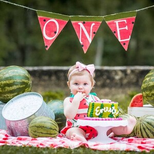 Watermelon Theme Party One in a Melon - Etsy