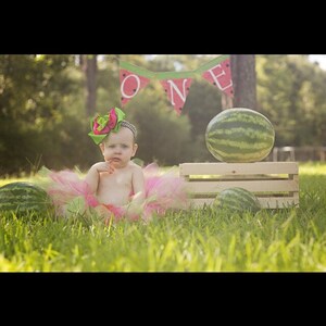 Watermelon Theme Party One in a Melon - Etsy