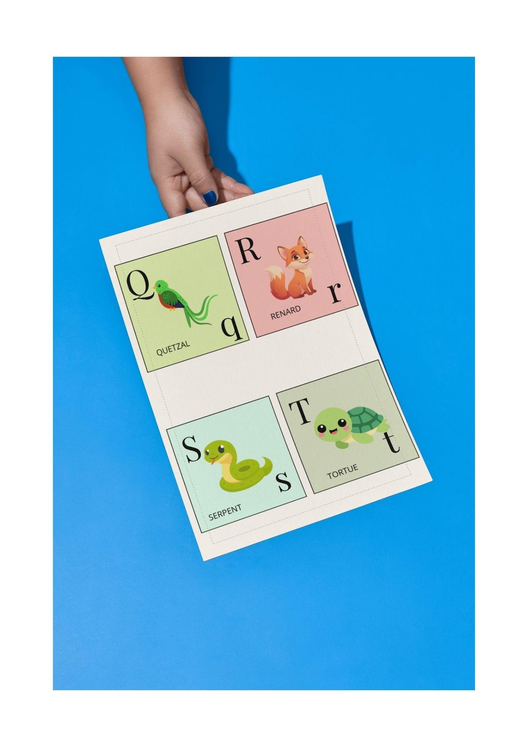 Printable Alphabet Animal Flashcards · 26 Cards A to Z · PDF ...