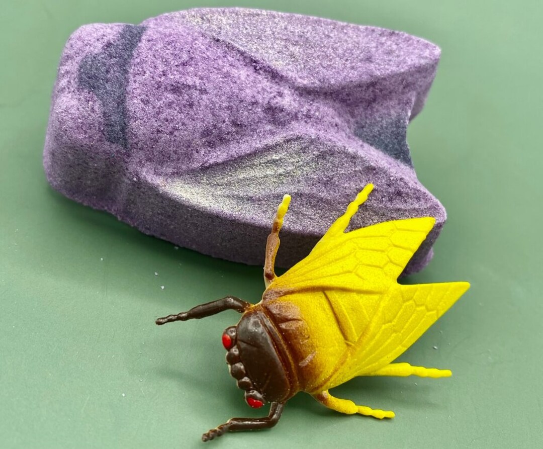 Cicada Bath Bomb With Toy Beetle Inside - Etsy