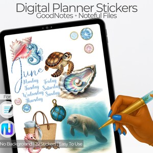June Digital Planner Stickers for Goodnotes | Realistic Summer Sticker ...