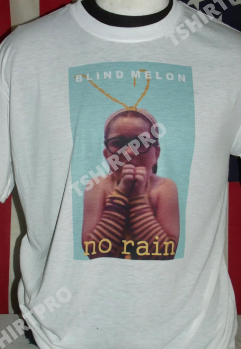 Blind Melon Bee Girl No Rain - Etsy