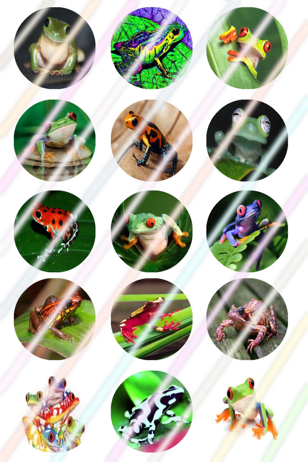 Frogs 1 Bottle Cap Image 4x6 Digital Collage Sheet Instant Download - Etsy