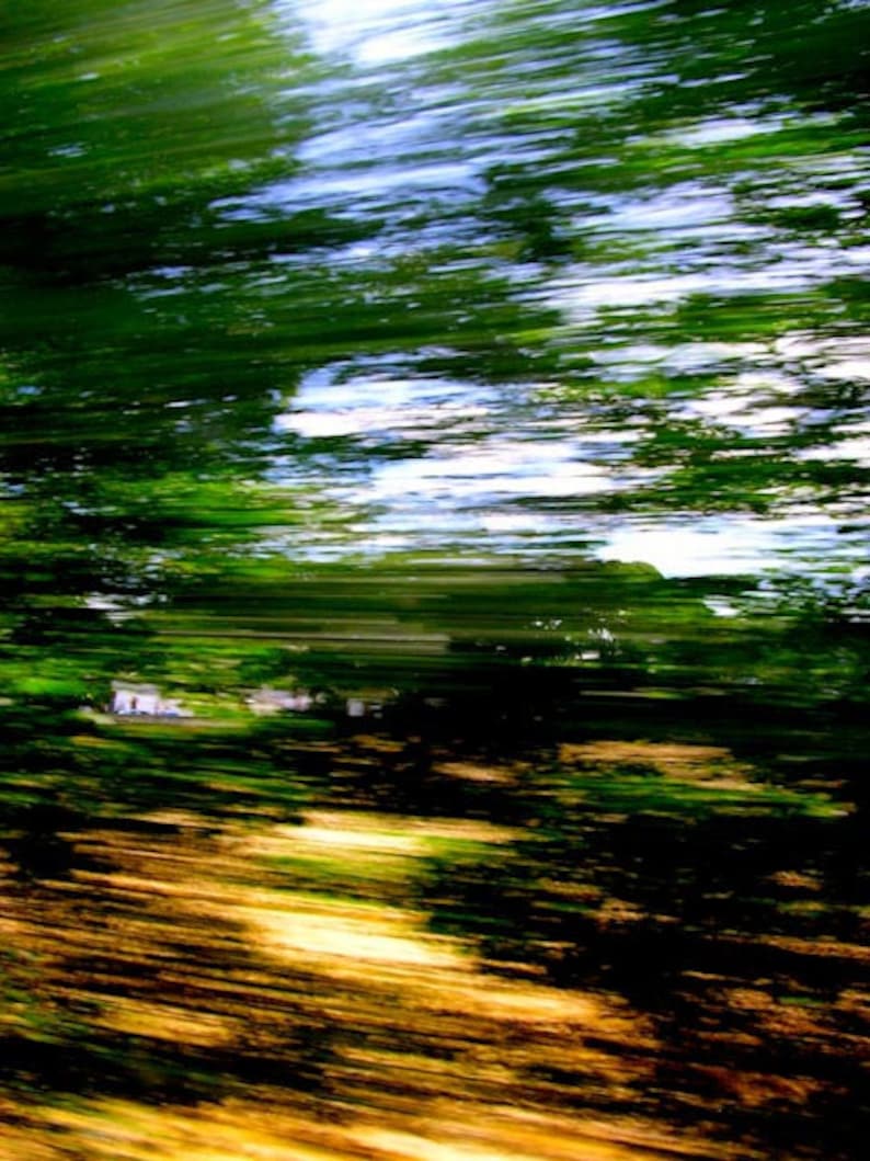 Abstract Wall Art - Motion Blur Nature Print 8x12 Photograph - Etsy Israel