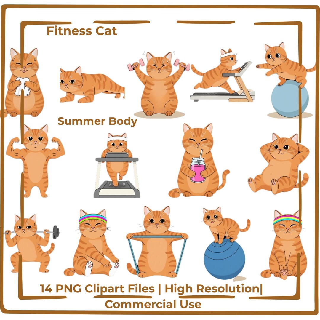 Fitness Cat Clipart Bundle – 14 Gym Cats, Transparent PNG (digital ...