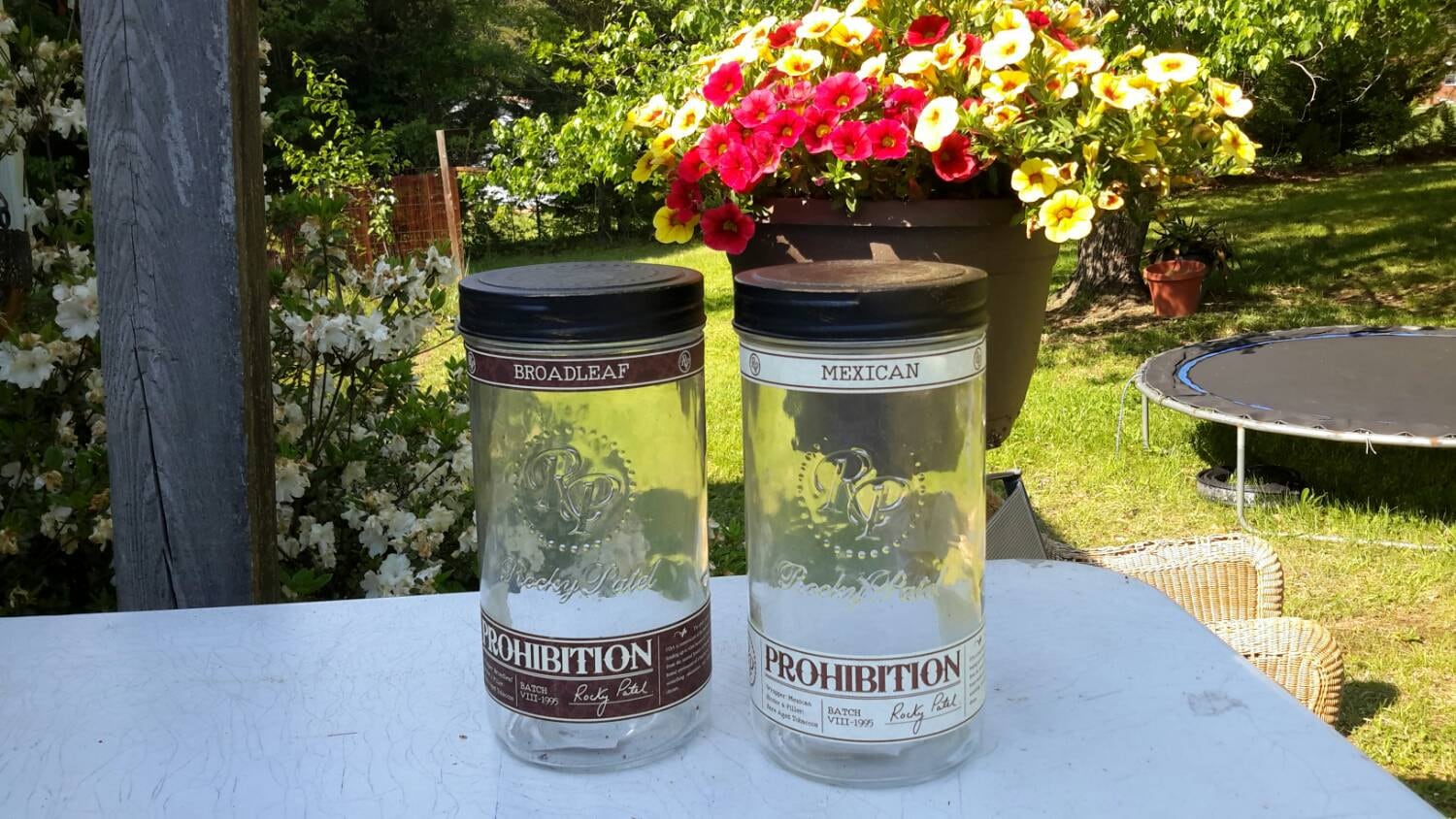 Cigar Jar Prohibition Brand Large Rustic Glass Mason Style - Etsy