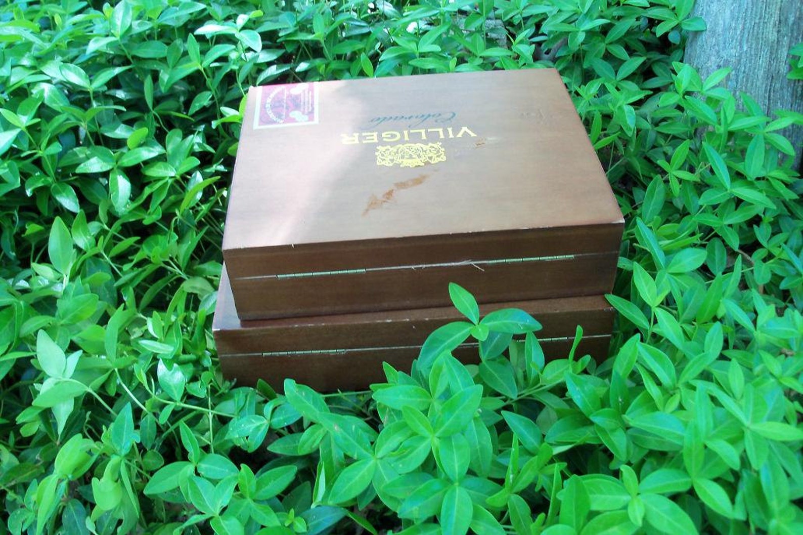 Cigar Box Colorado Villager Wooden Cigar Chest Stackable | Etsy