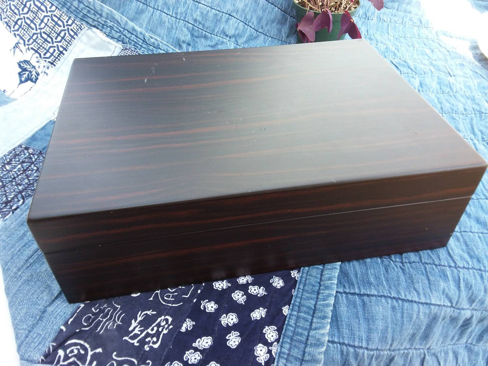 Humidor Zebrawood Finish Classic Wooden Cigar Chest Rare Top - Etsy