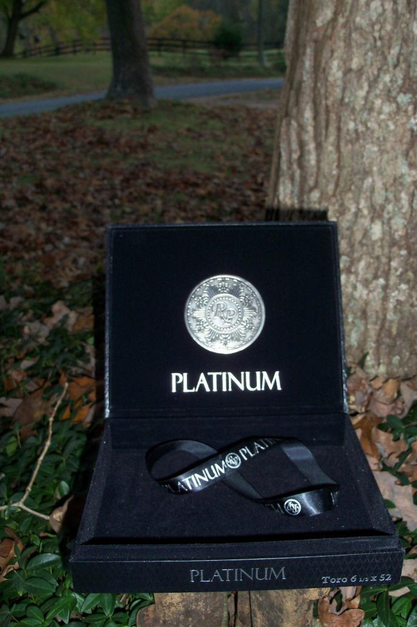 Cigar Box Black Platinum With Rhinestones Top Shelf Treasure - Etsy