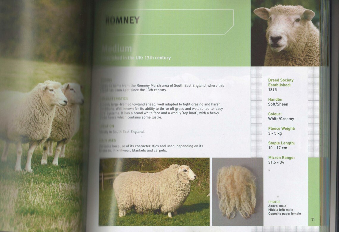 British Sheep Wool Sheep Breed Guide Wool Book Fibre Book - Etsy