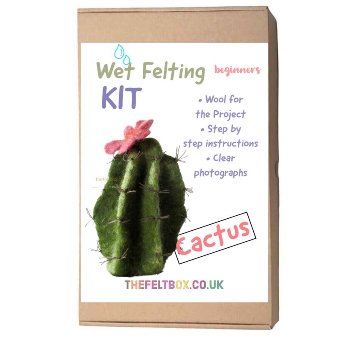 Wet Felting Kit. Make Your Own Cactus. Wet Felting Beginner Kit ...