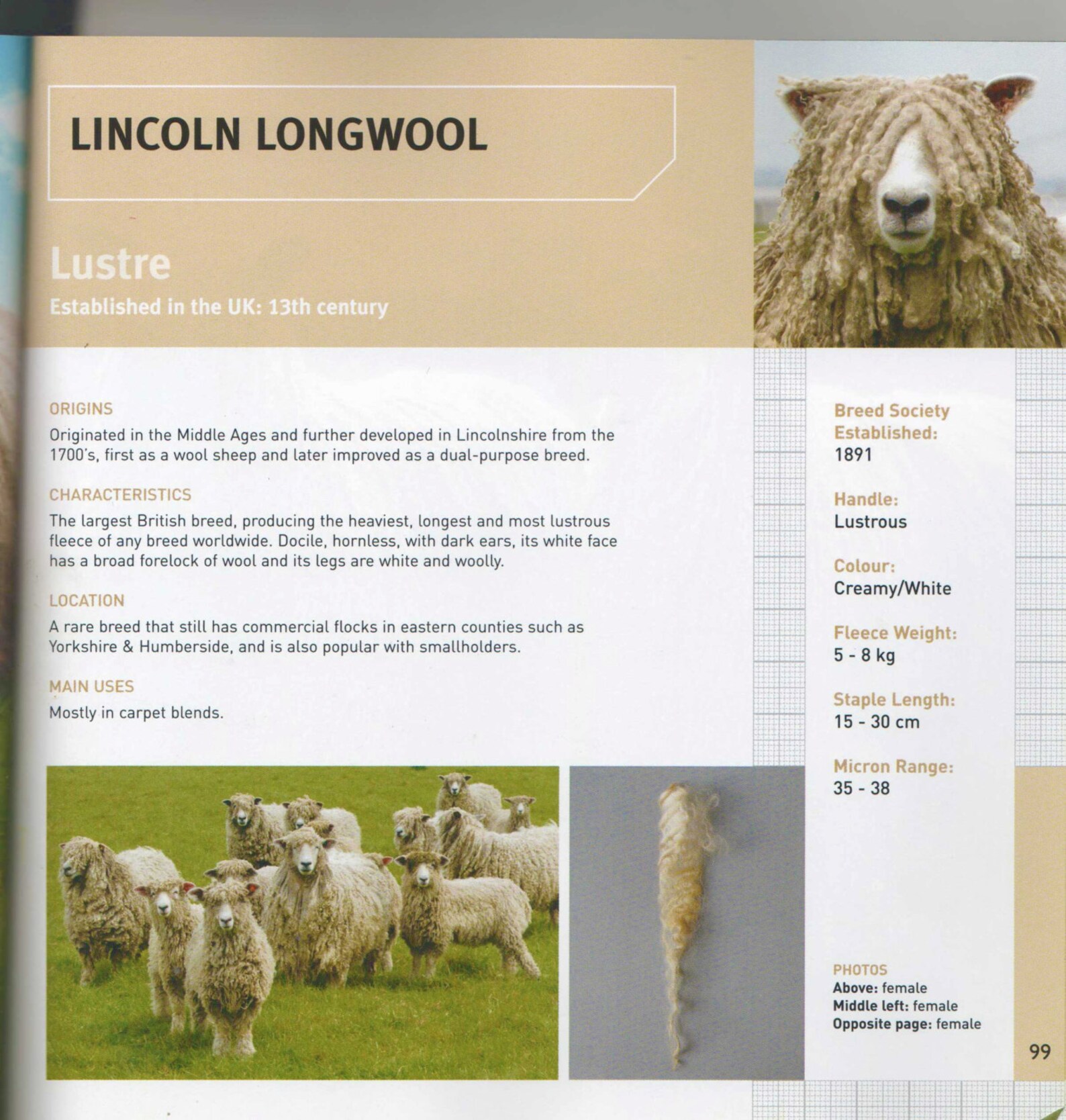 British Sheep Wool Sheep Breed Guide Wool Book Fibre Book - Etsy