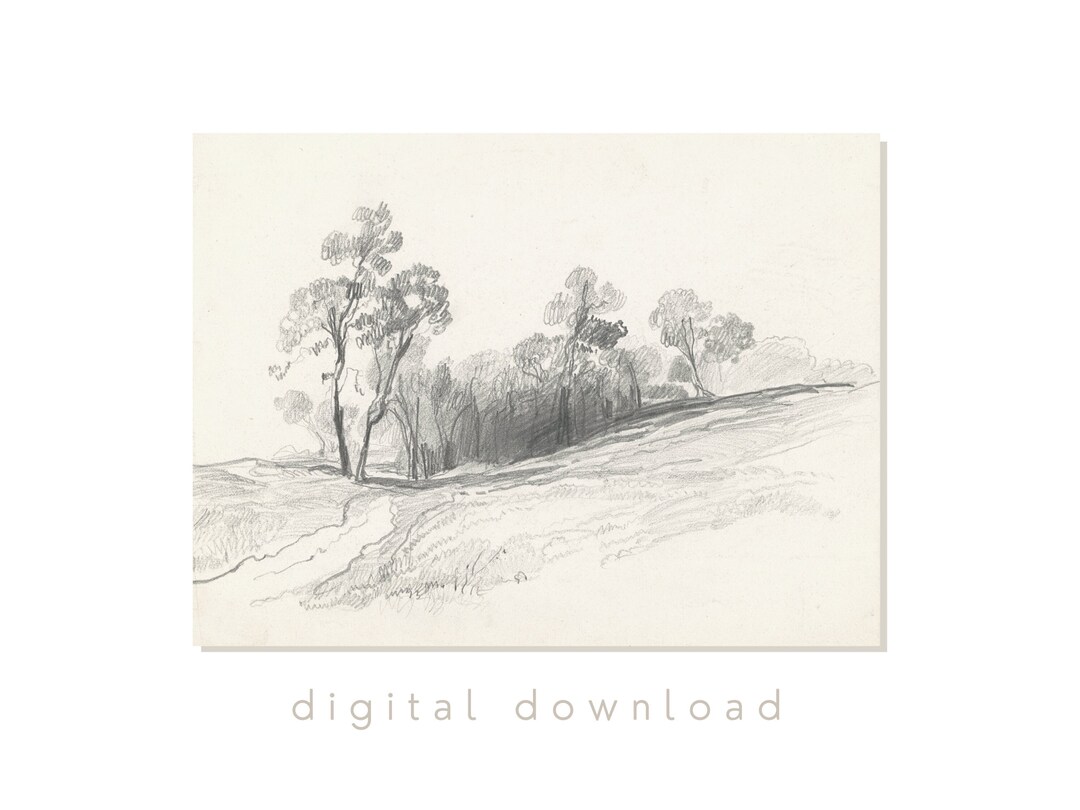 TREES LANDSCAPE DRAWING Vintage Art Digital Download Printable Art ...