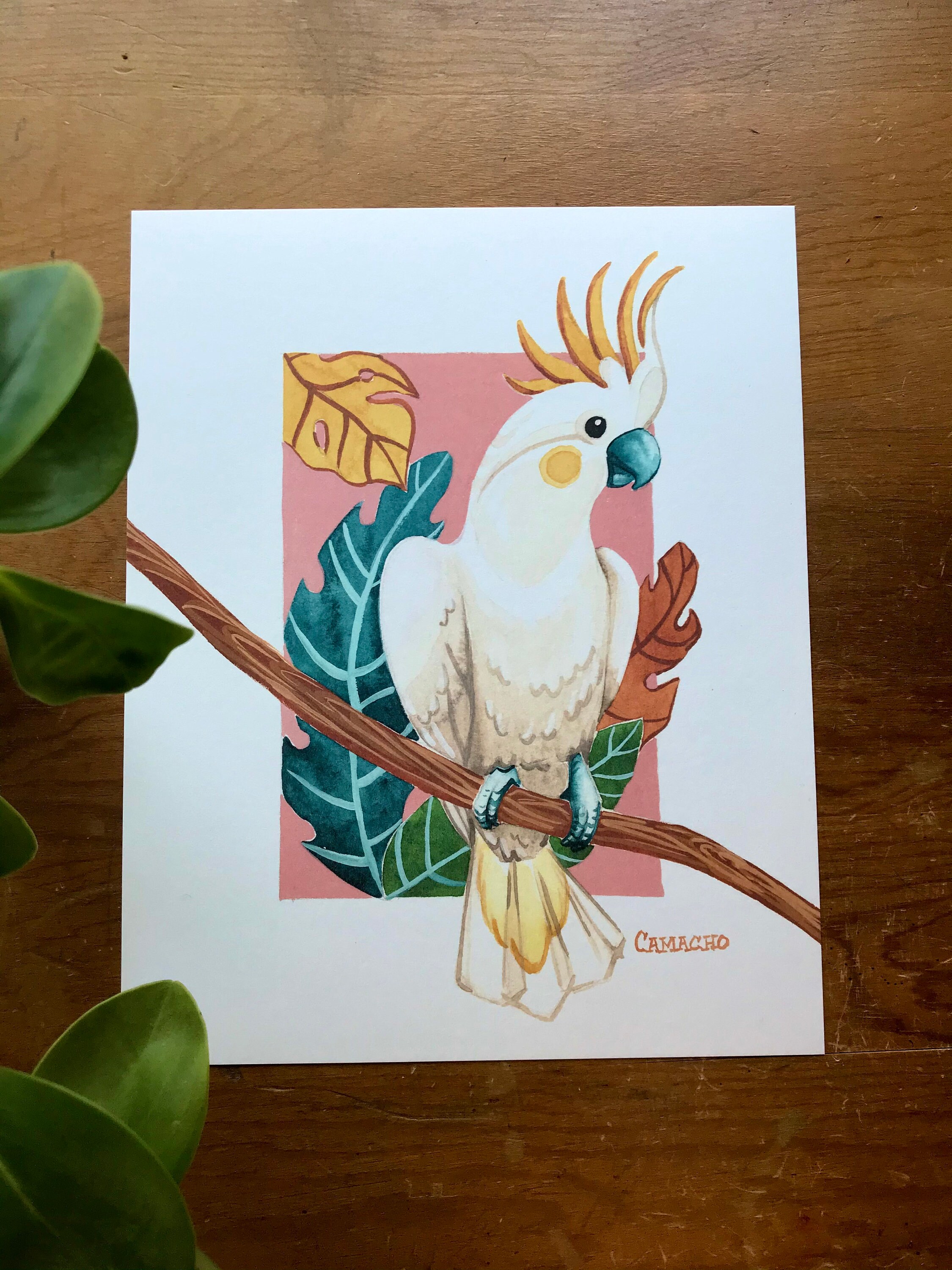 Cockatoo Art Print 8x10 Etsy