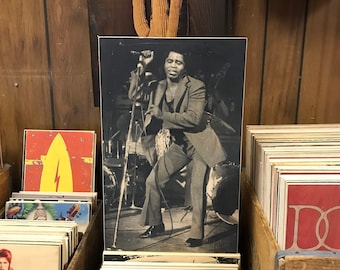 Zappa Crappa Frank Zappa Toilet Handmade Wood Poster 10.25x16.25 - Etsy