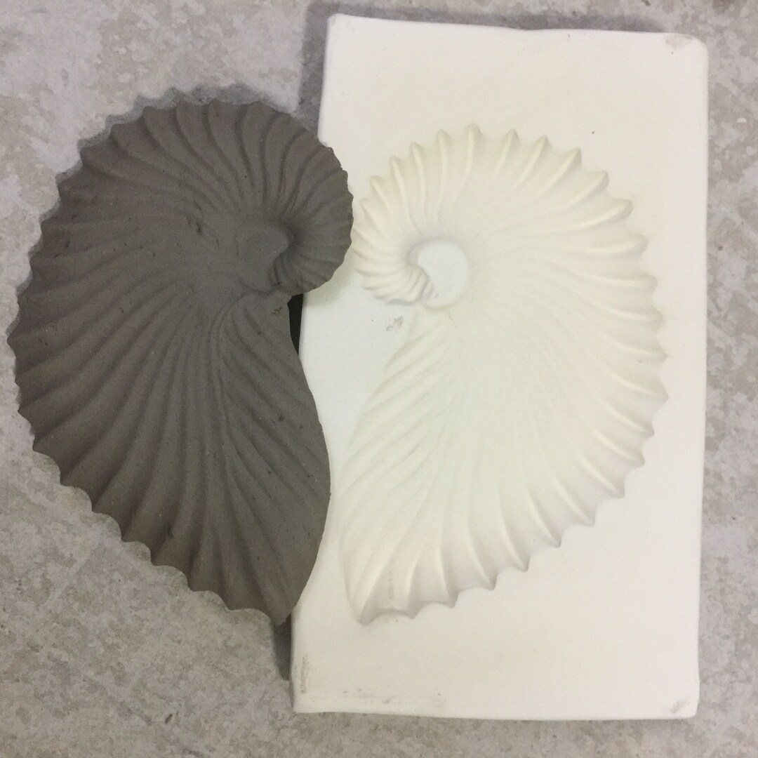 NS Clay Sprig Mold - Nautilus Seashell Press Mold - Relief Mold or ...