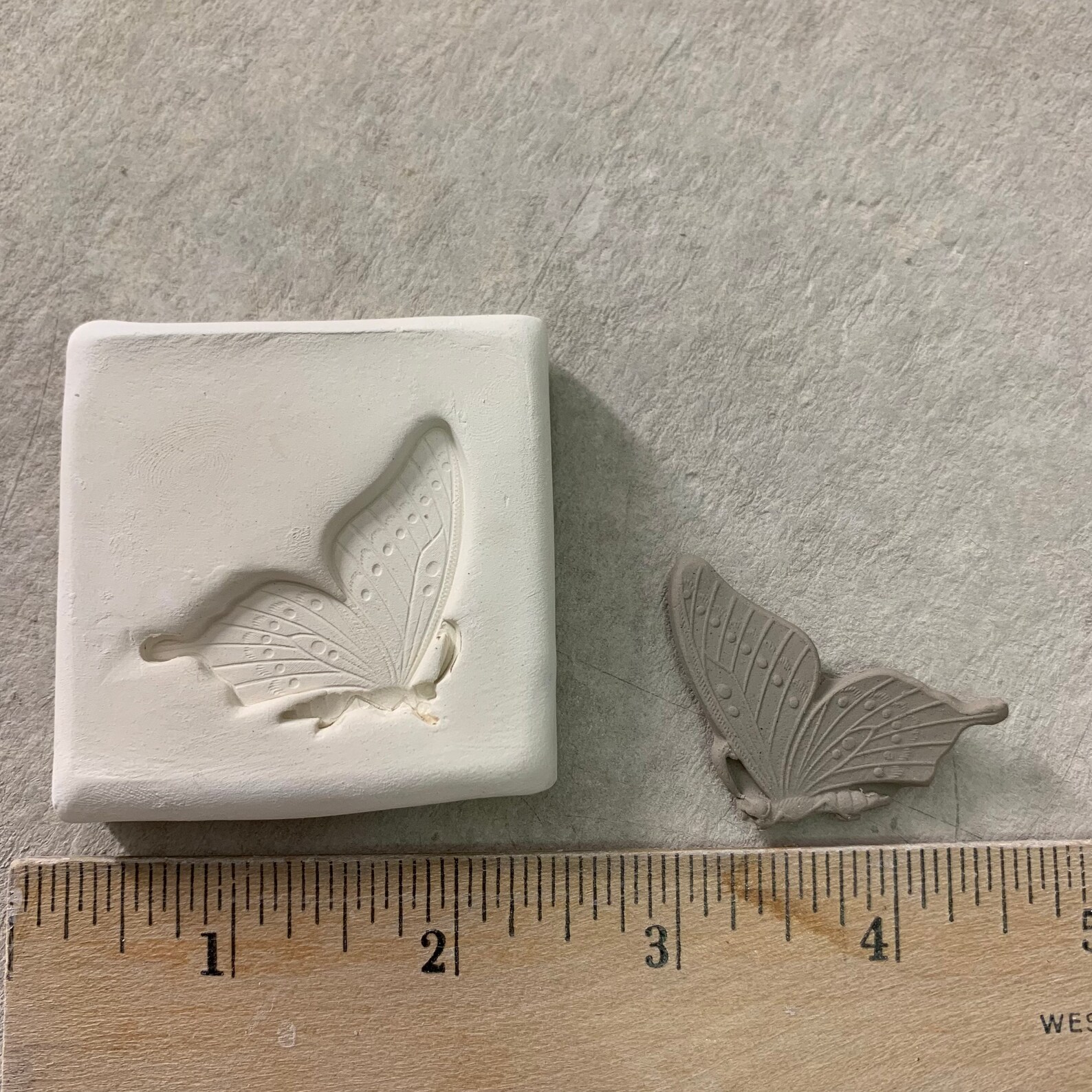 Sideways Butterfly Insect Pottery Press Mold Relief Mold or - Etsy