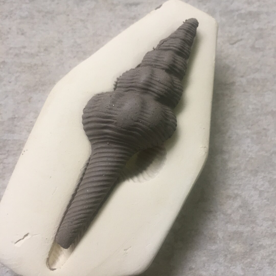 SXL Clay Shell Sprig Mold - Long Seashell Press Mold - Relief Mold or ...