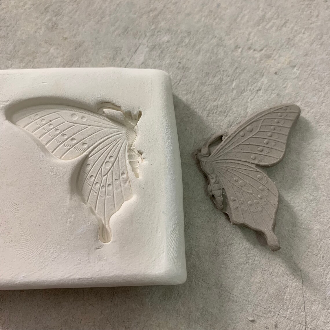 Sideways Butterfly Insect Pottery Press Mold Relief Mold or - Etsy
