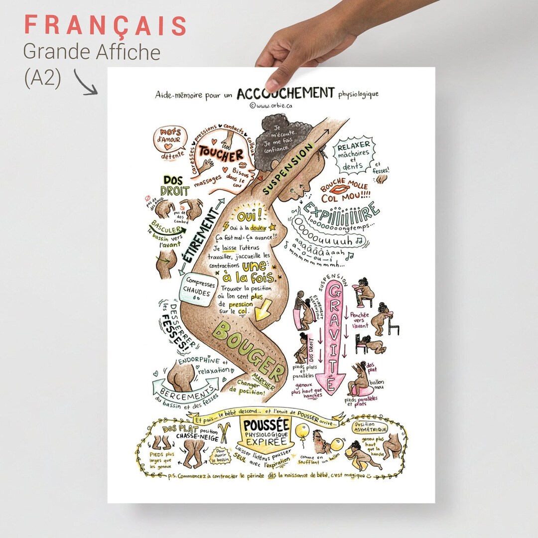 FR FRENCH Poster Cheat sheet for physiological birth - Etsy Portugal