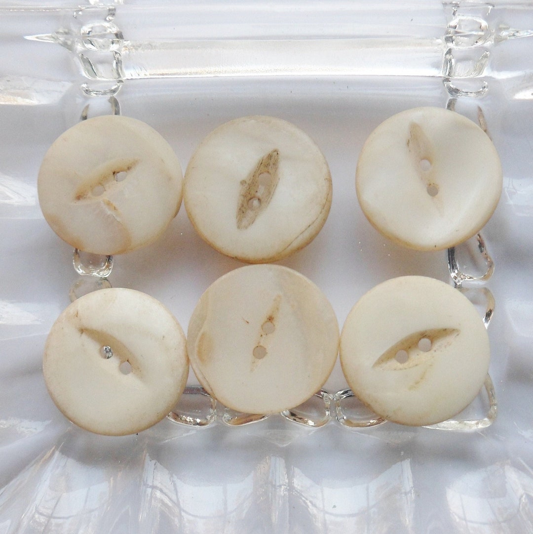 Six Shell Buttons, Primitive Handmade Fish Eye Buttons Made From Sea ...