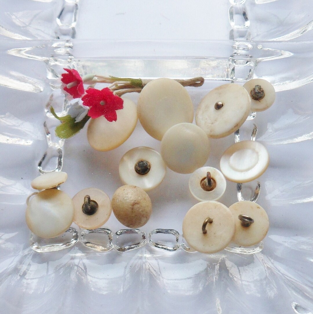 Fourteen Shell Buttons, Primitive Metal Shank Buttons Made From Sea ...