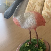 Spoonbill - Etsy